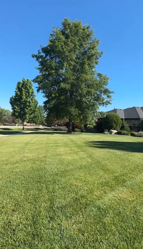 Landscaping Maintenance Checklist - SafetyCulture