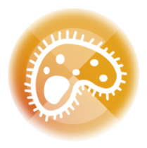 AMS Surgical Charts - SafetyCulture