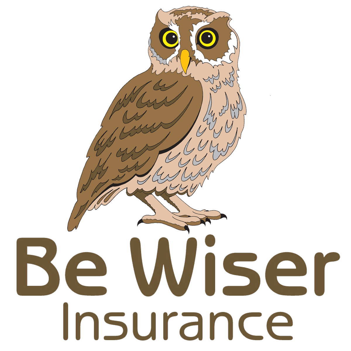 Be Wiser Assessment Record V1.0 - SafetyCulture