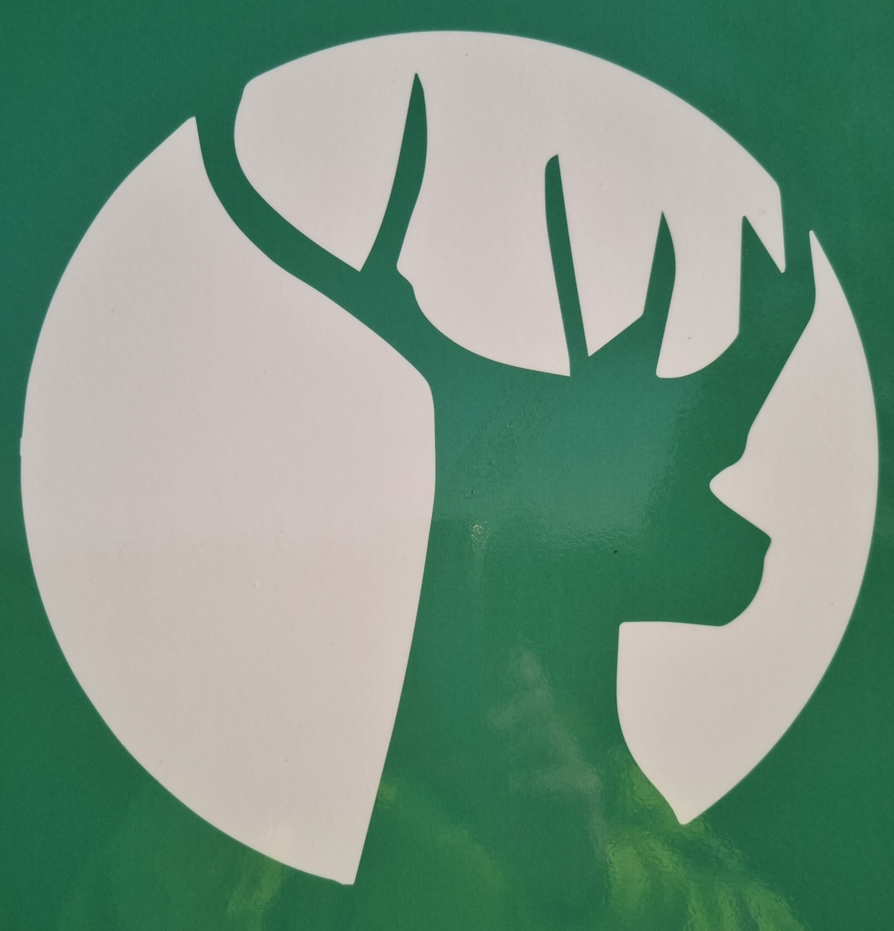 LADDER INSPECTION - SafetyCulture