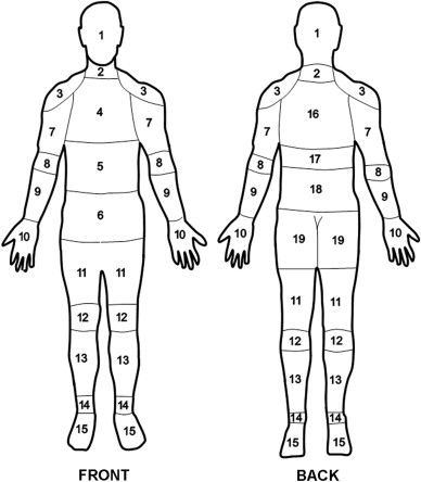 INCIDENT INVESTIGATION - SafetyCulture