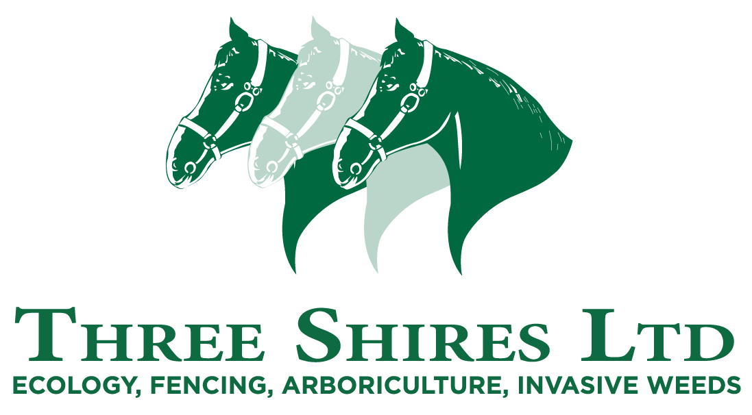 Onsite H&S Audit - SafetyCulture