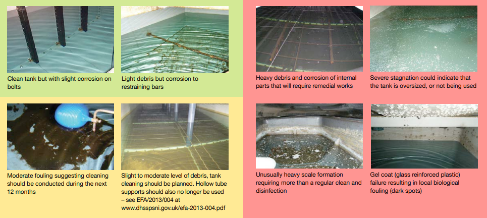 Annual Check - SafetyCulture