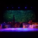 Lighting shutdown - SafetyCulture