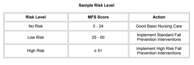Morse Fall Risk Assessment - SafetyCulture