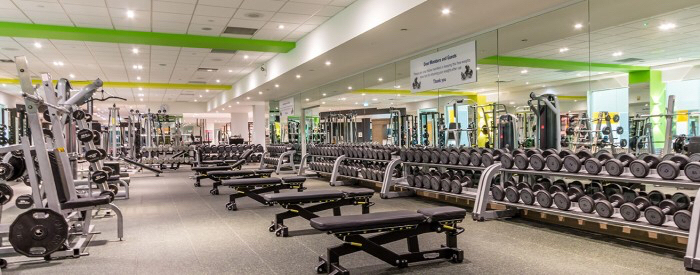 Large Free Weight Area - SafetyCulture