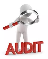 Check list spot audit - SafetyCulture