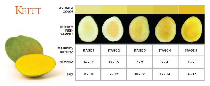 T&G Fresh Mango Inspection NZ V2022 - SafetyCulture