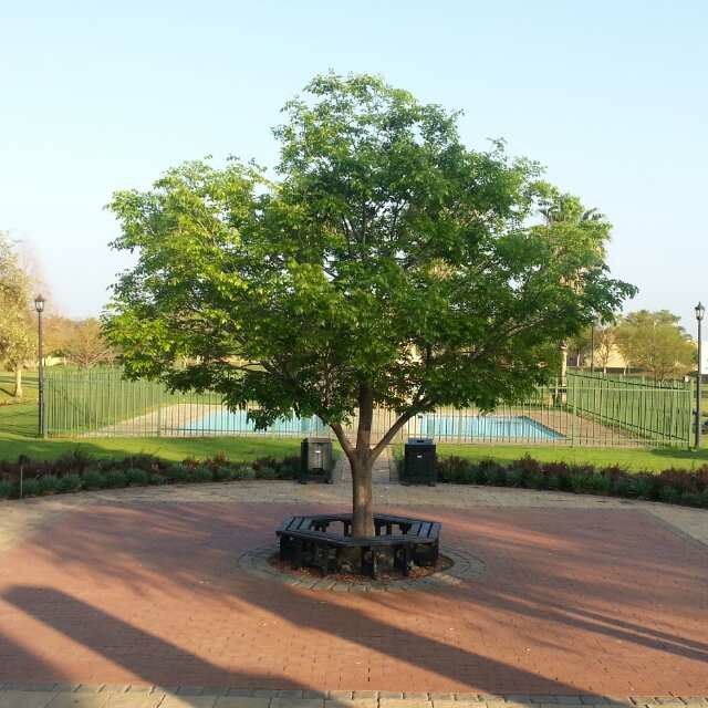 Gates & Perimeter Checklist - SafetyCulture