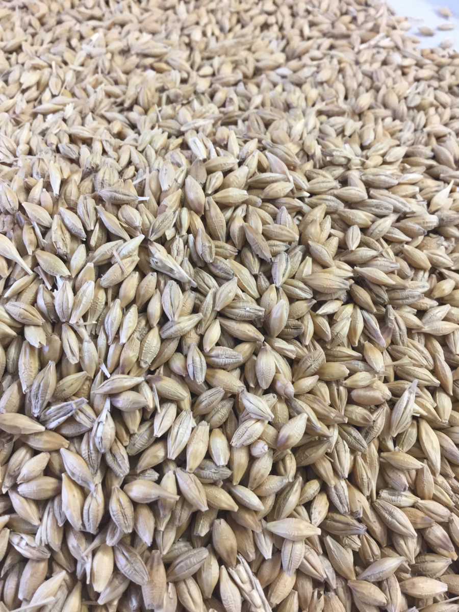 Harvest Pre-Start Meeting - SafetyCulture