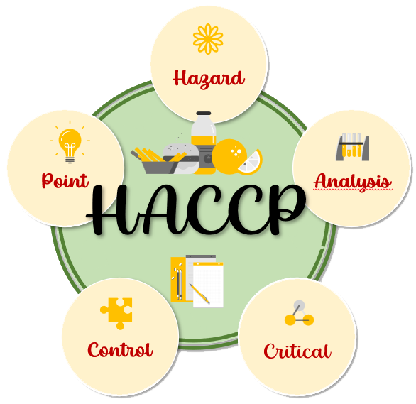 Suivi PMS Journalier - OMConsulting - SafetyCulture