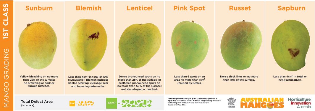 T&G Fresh Mango Inspection NZ V2022 - SafetyCulture