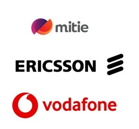 VF Ericsson Rigging Self Audit V1 - SafetyCulture