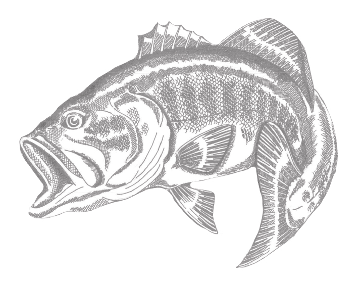 Fridge & Freezer Temperature Checks - SafetyCulture