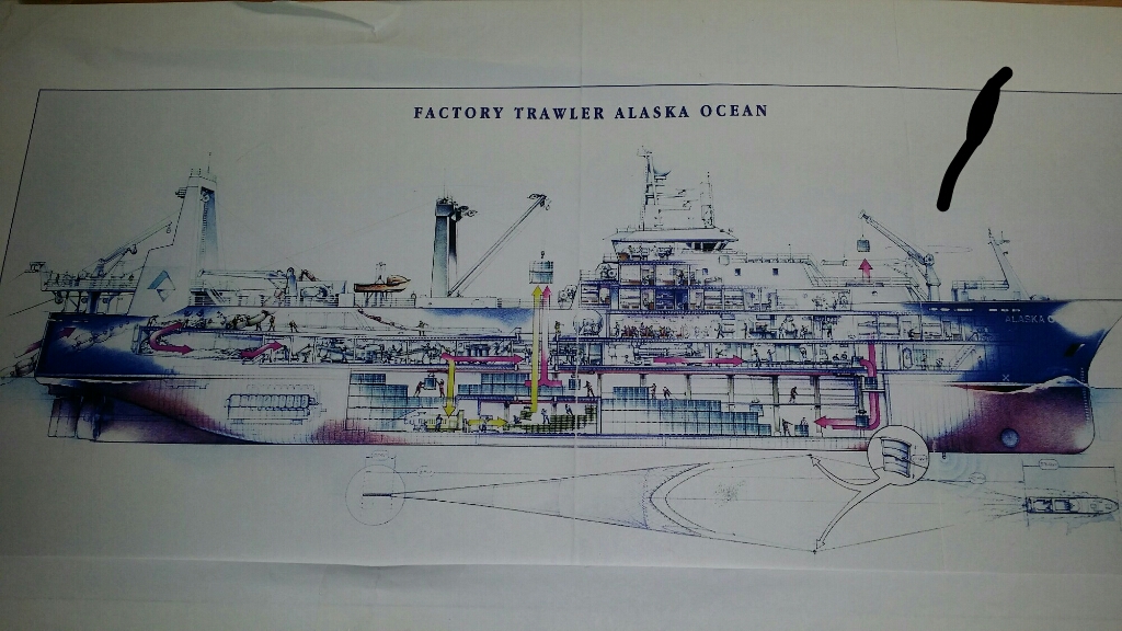 Marine Shipboard Audit - SafetyCulture