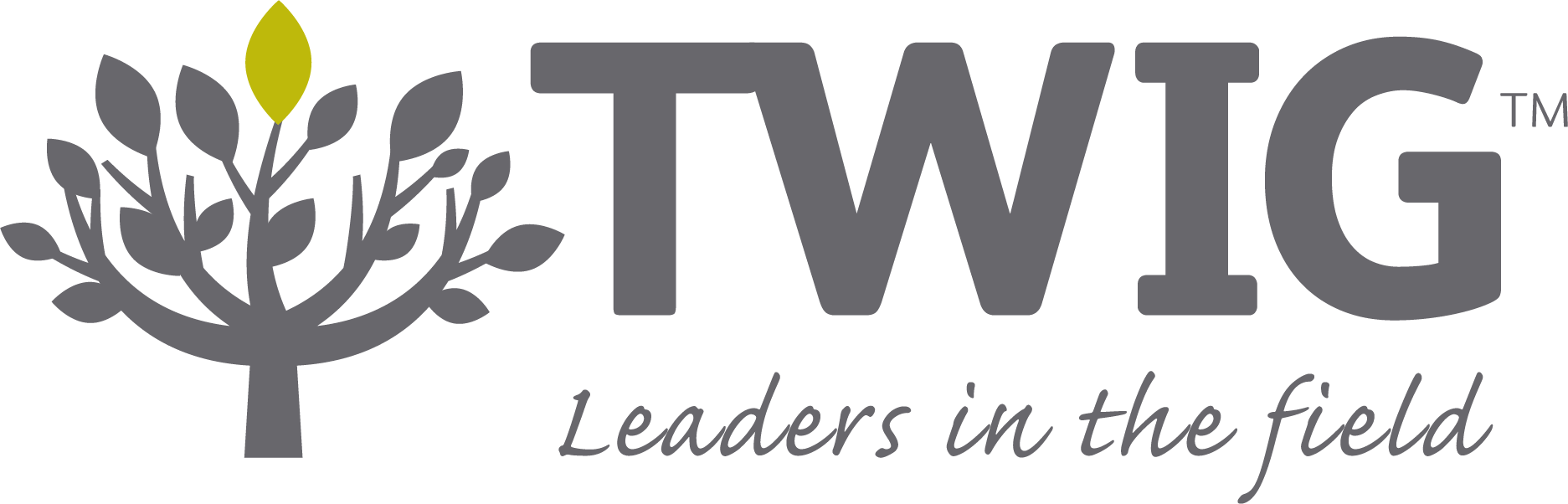 Grass Cutting - SafetyCulture