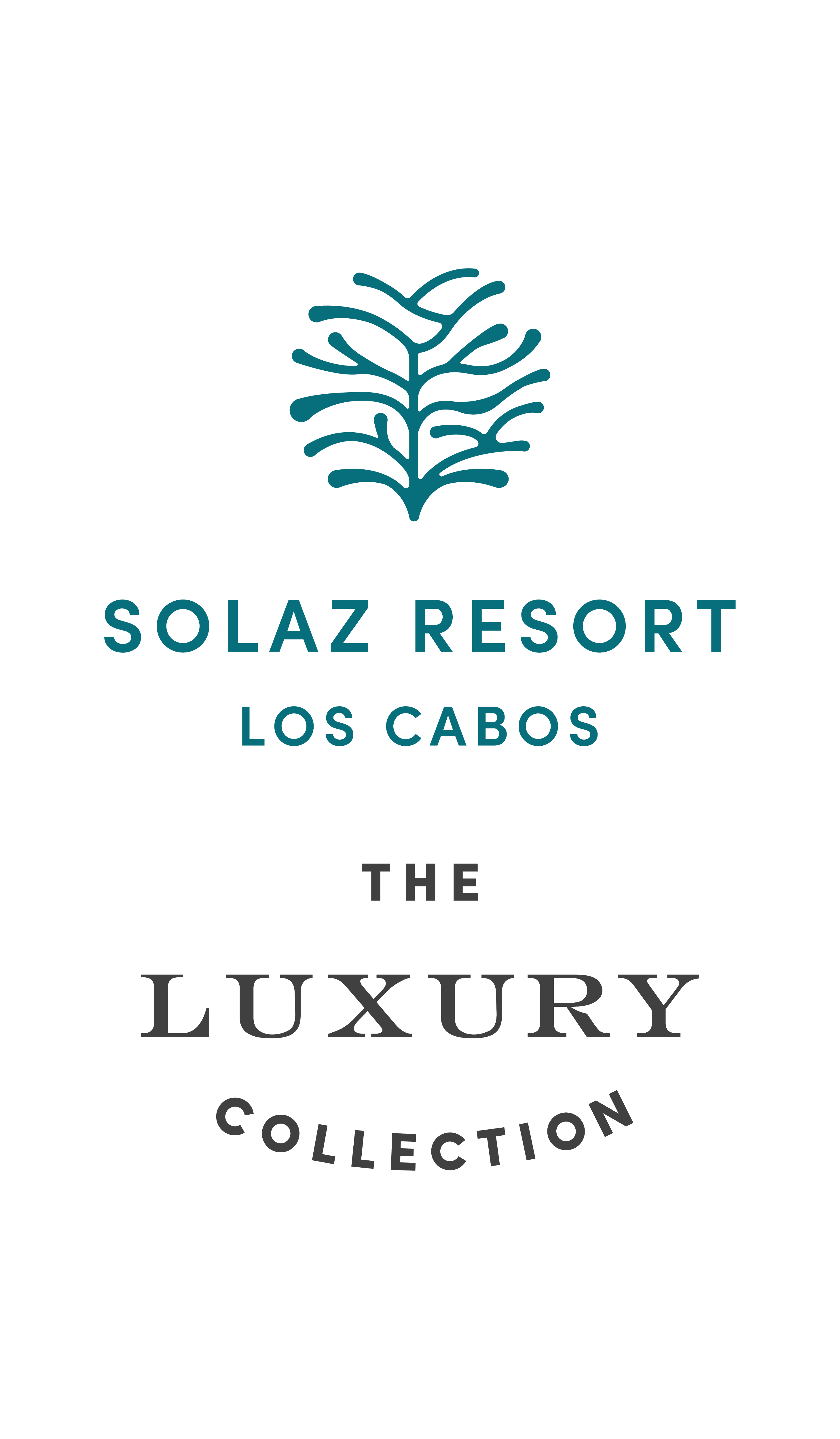 SERVICIO DE PISCINA PLAYA SOLAZ - SafetyCulture