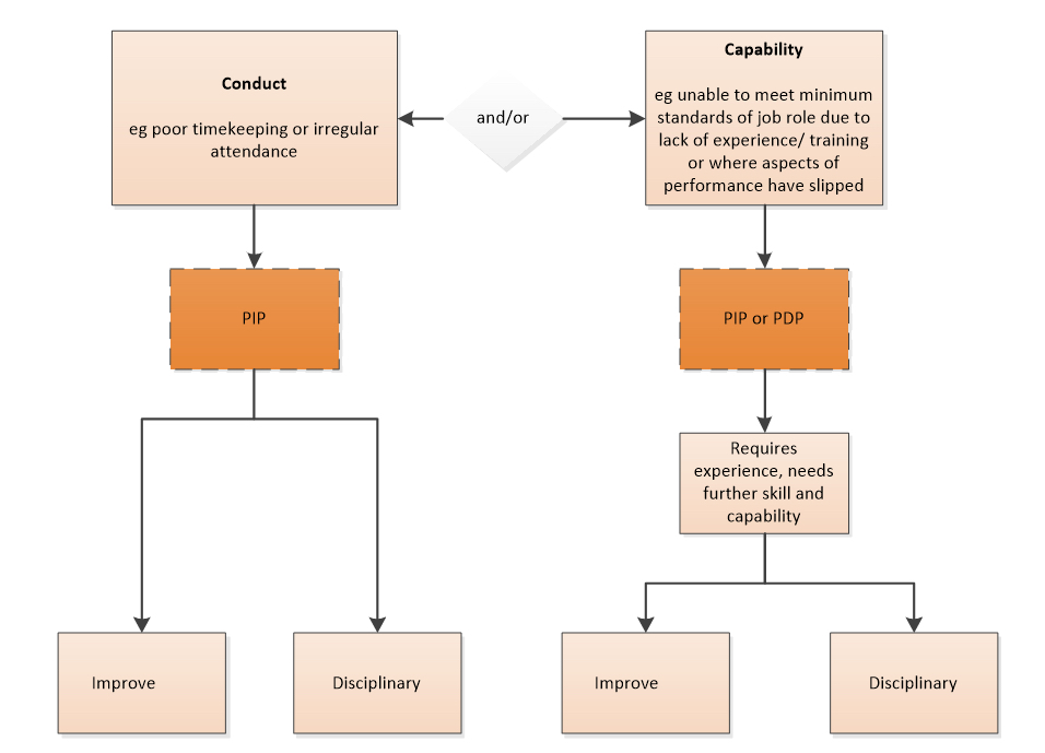 Performance Improvement Plan (PIP) - SafetyCulture