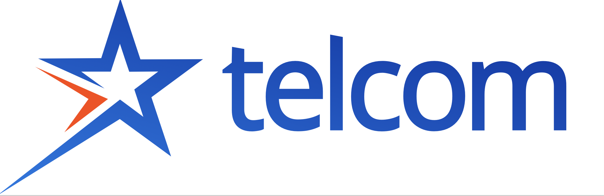 TI Network Audit - SafetyCulture