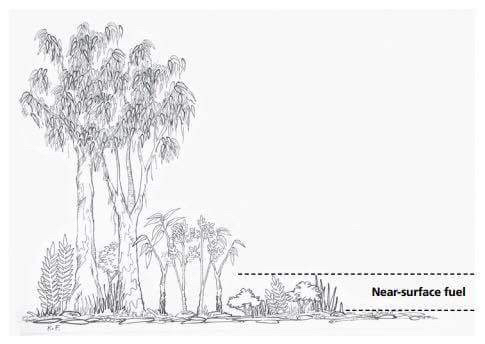 Fuel Load Assessment - Field Sheet Copy - SafetyCulture