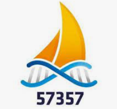 Daily Patient Room Cleaning - SafetyCulture