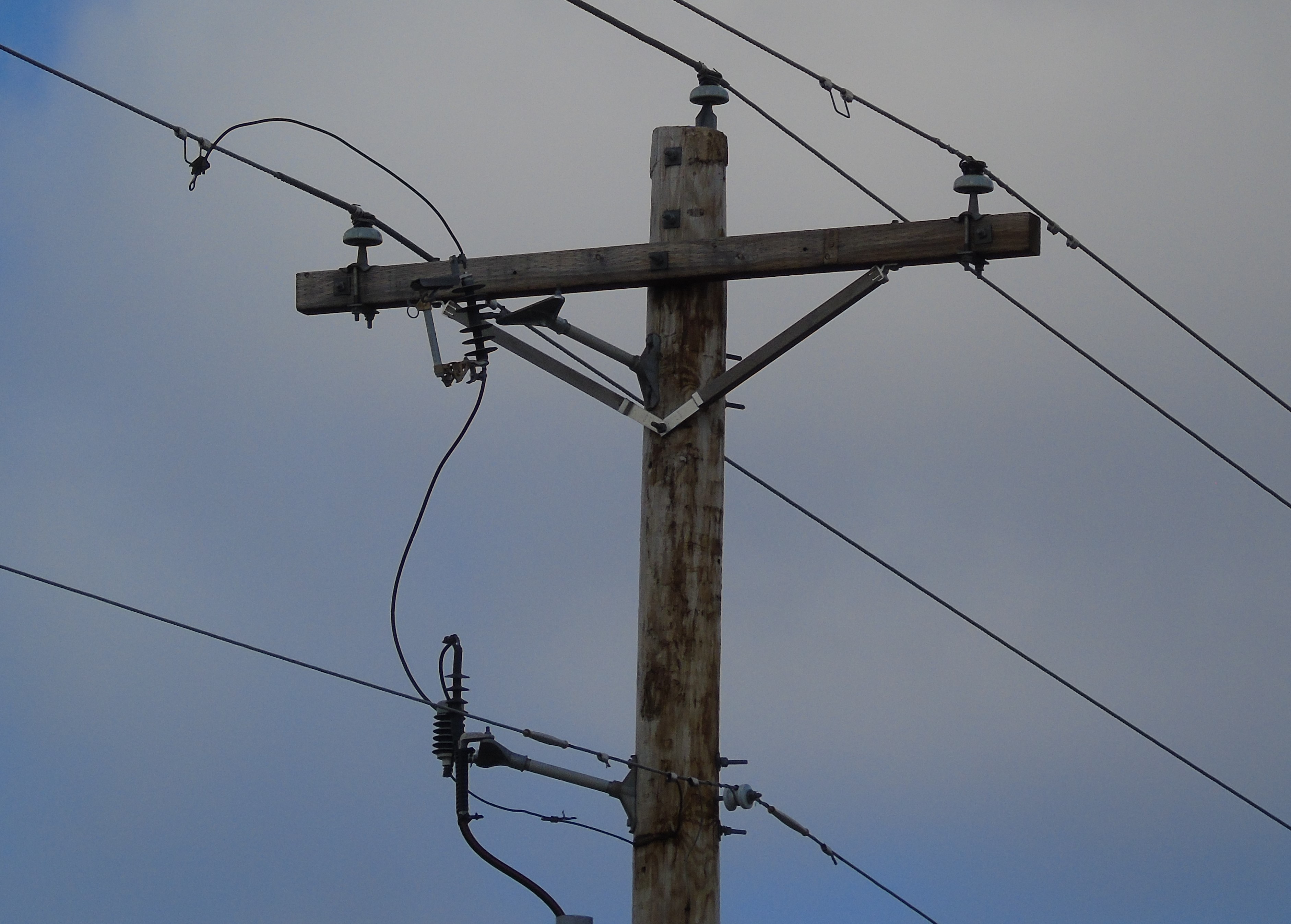 Pole and overhead line inspection - SafetyCulture
