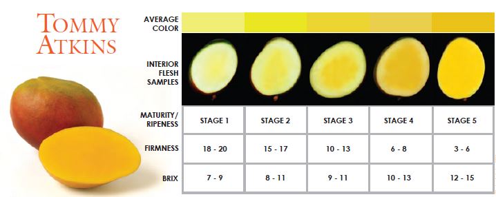 T&G Fresh Mango Inspection NZ V2022 - SafetyCulture